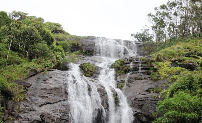20 Best Munnar Tourist Places, Tea Gardens & Hidden Gems (2026 Guide)